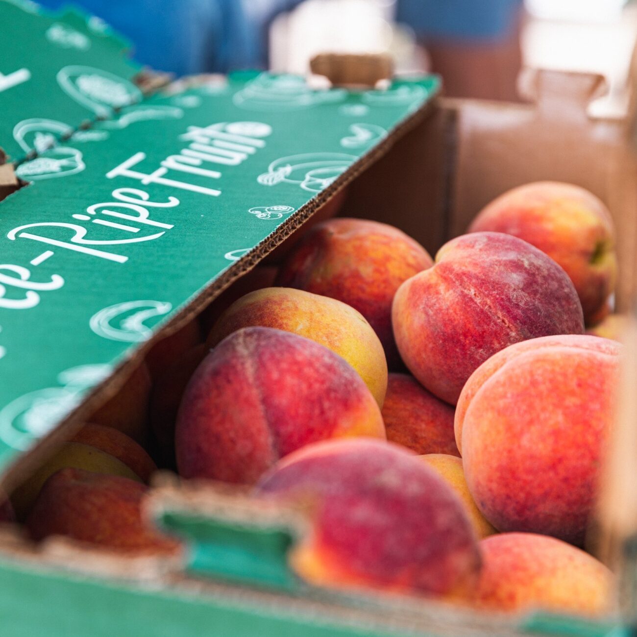 Shop - Tree-Ripe Fruit Co.