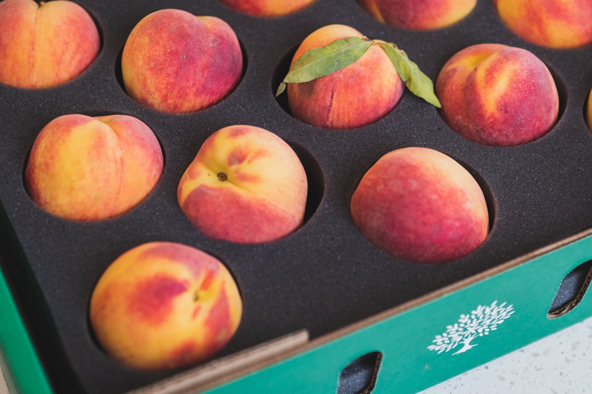 Georgia Peaches For Sale | Fresh Fruit Delivered | Tree-Ripe Fruit Co.