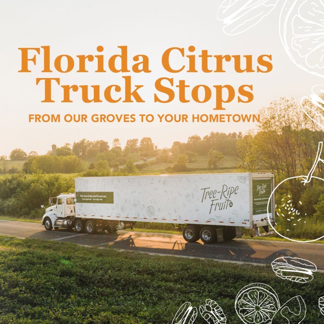 From the grove to your home! - Tree-Ripe Fruit Co.
