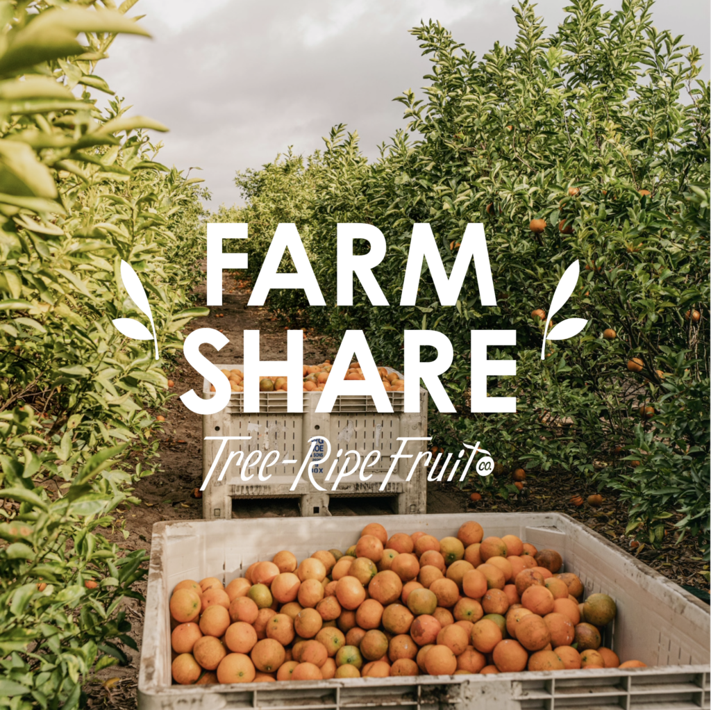 Farm Share WInter Box | Fresh Fruit Delivered | Tree-Ripe Fruit Co.