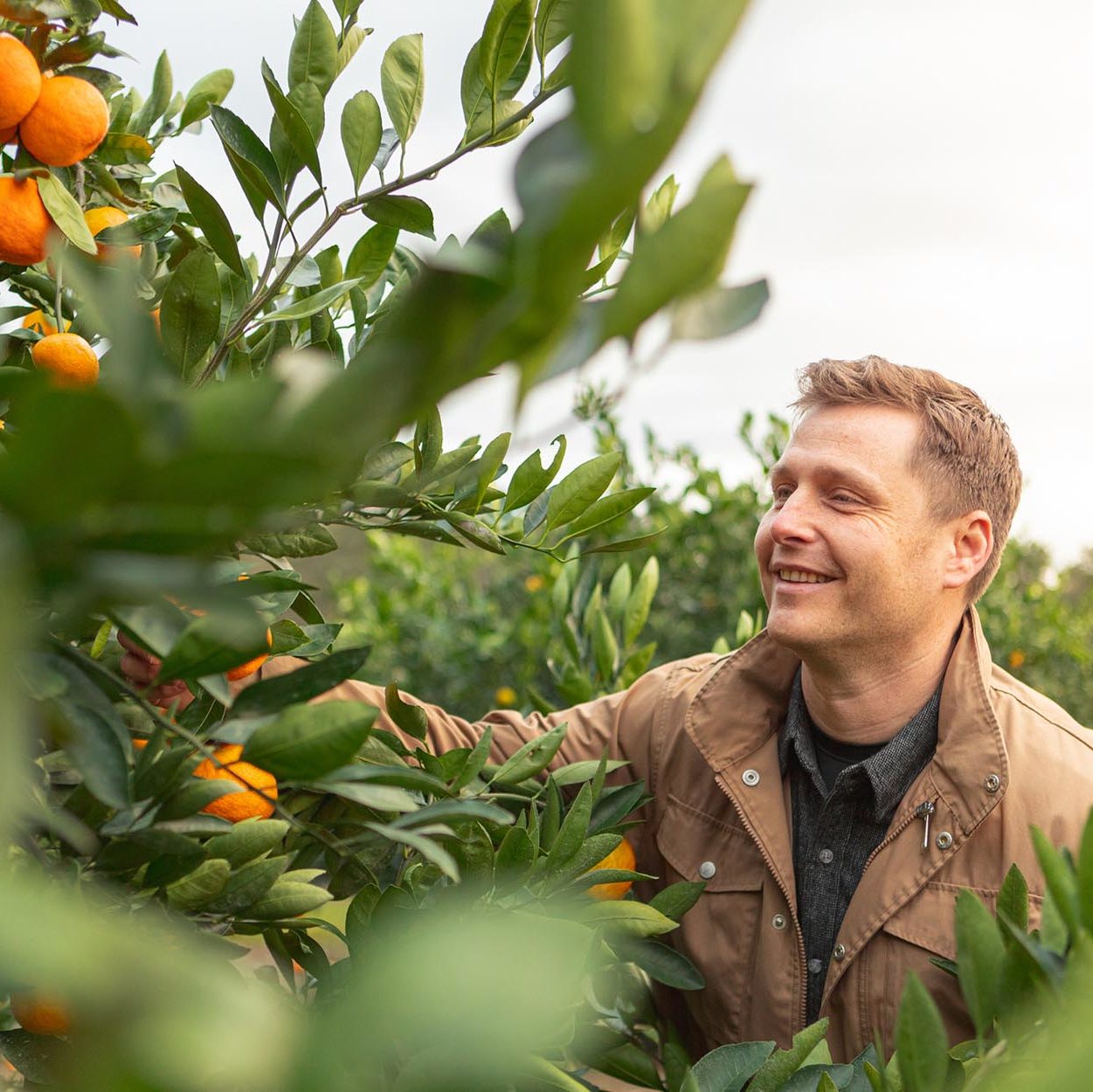 Fresh Fruit For Sale Online or Home Delivery | Tree-Ripe Fruit Co.